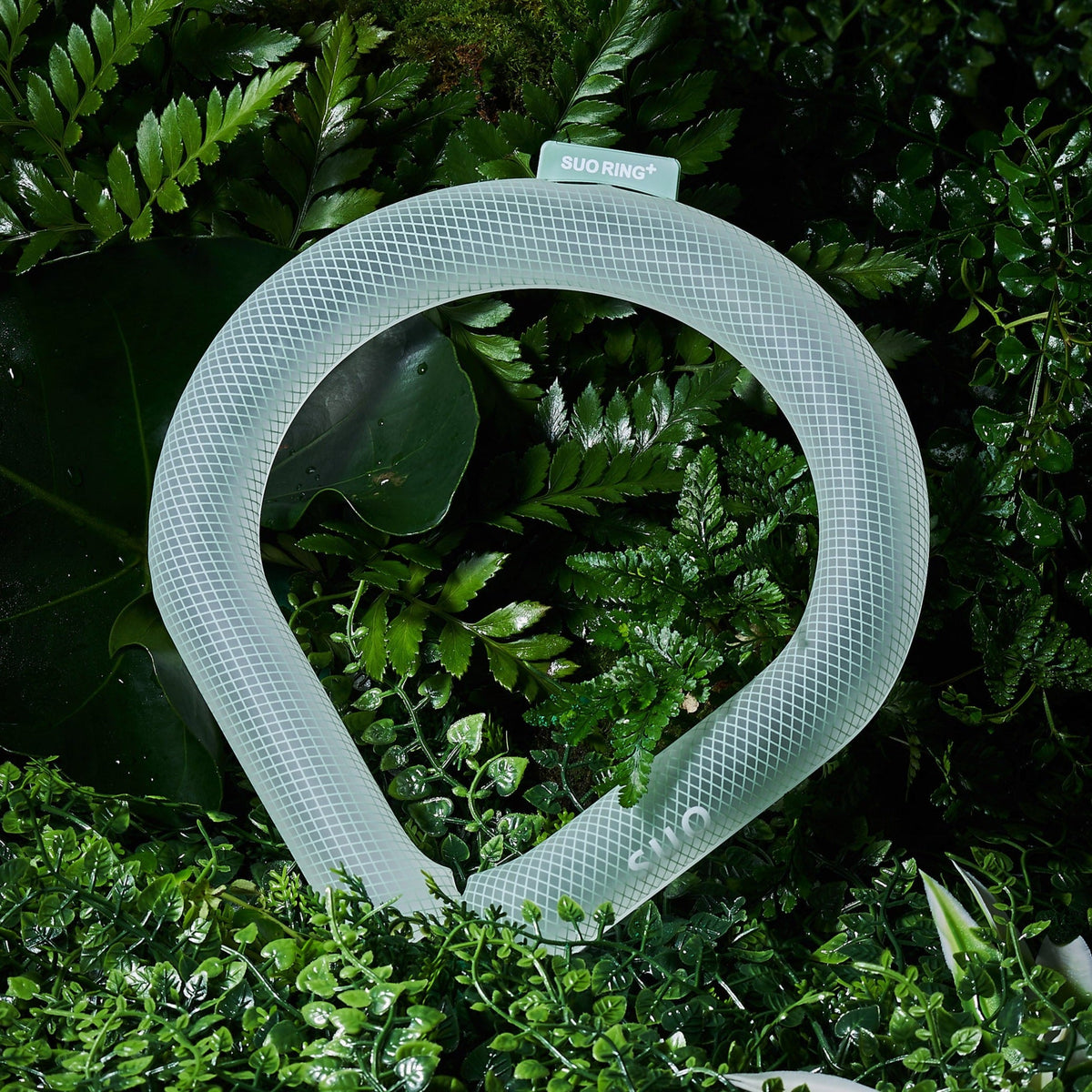 SUO RING 18°ICE LL | SUO